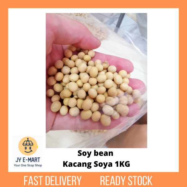 Kacang Soya Soy Bean 1kg Grade A | Lazada