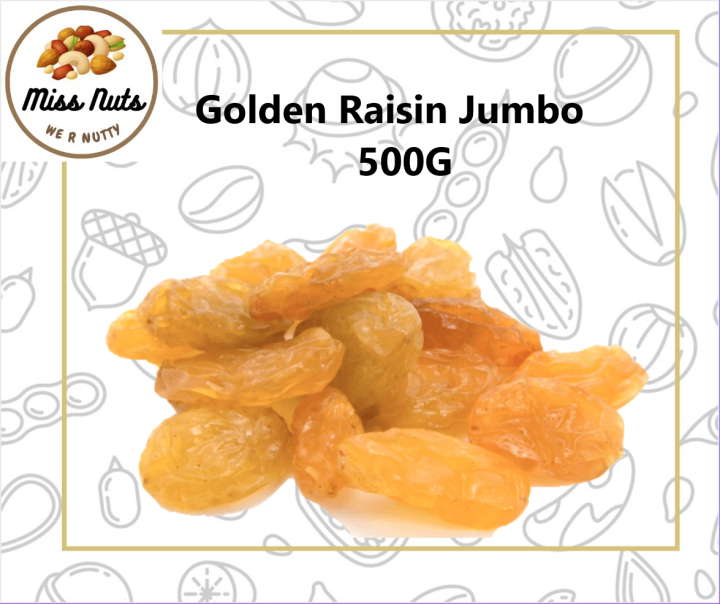 500g Unsweetened JUMBO Premium California Golden Raisin / Kismis 美国黄金葡萄干(大) | Lazada