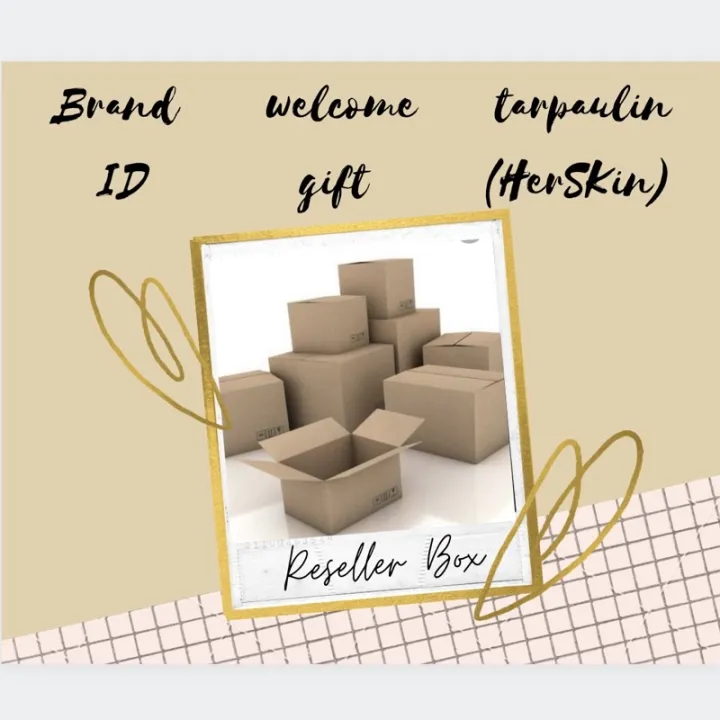 Reseller Box from different Brands | Lazada PH