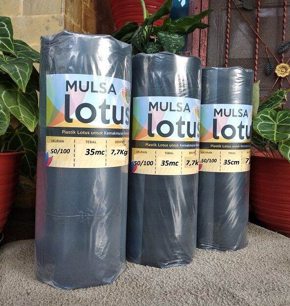 mulsa plastik mulsa hitam perak lotus 1 rol lebar 100 cm panjang 250 ...