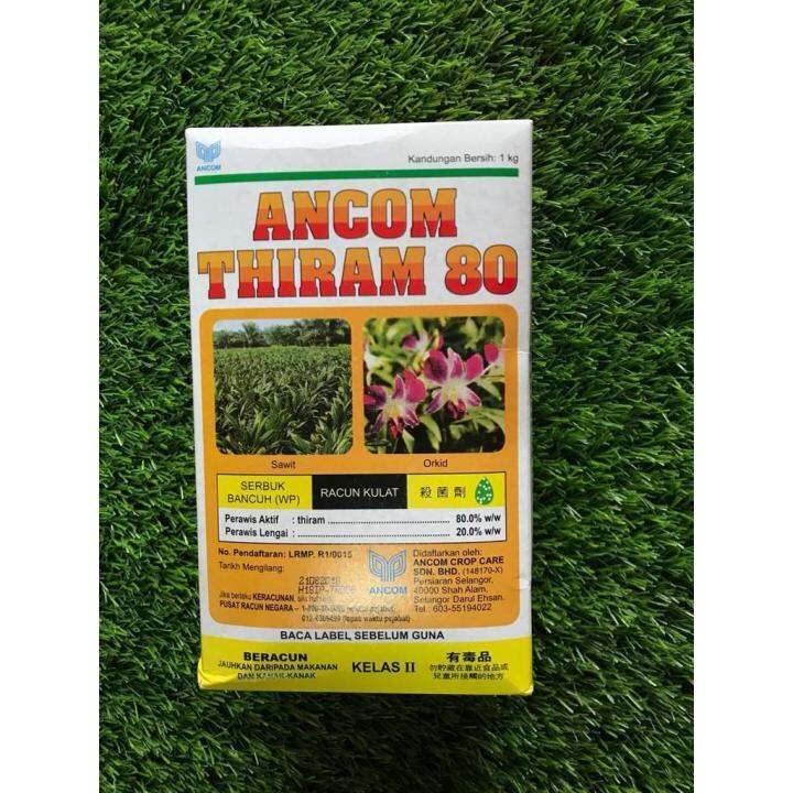 1 KG Ancom Thiram 80% Racun Kulat Fungicide | Lazada