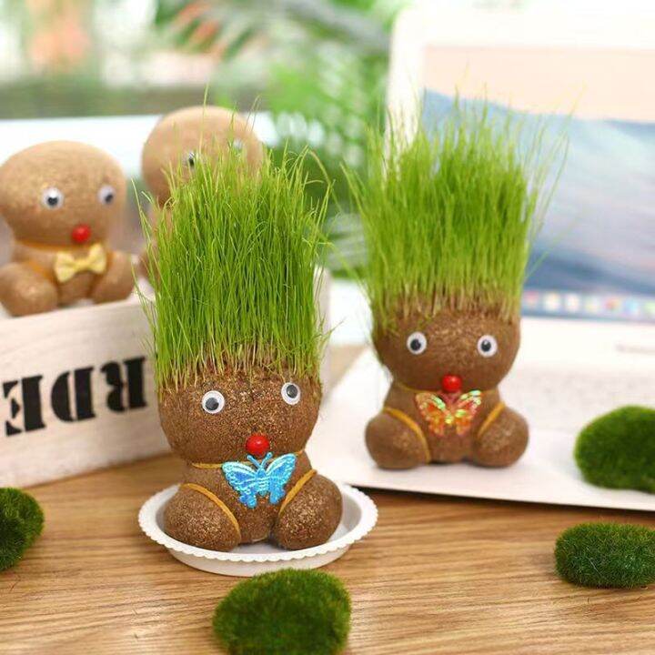 Grass Head Room Decor Children Growing Grass Doll Toys Indoor Office ...