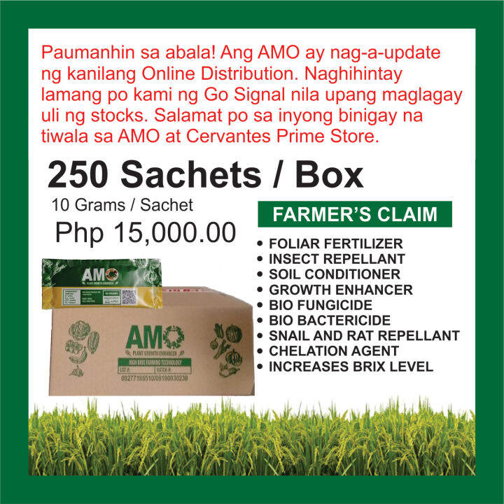 AMO 250 Sachets per Box | Lazada PH