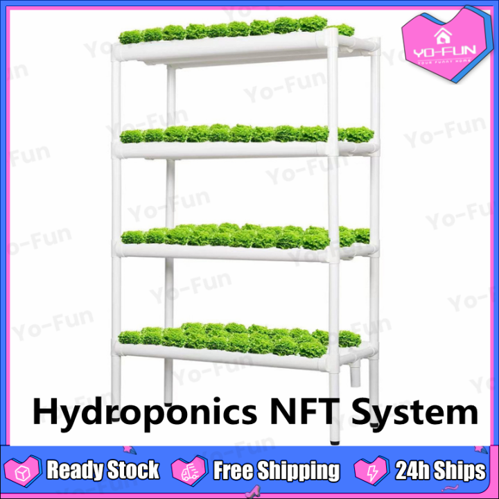 Yo-Fun Hydroponic Soilless cultivation equipment NFT System Seedlings ...