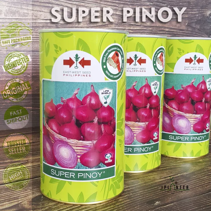 SUPER & RED PINOY VARIETY ONION SEEDS (400g) SIBUYAS - EAST - WEST SEED ...