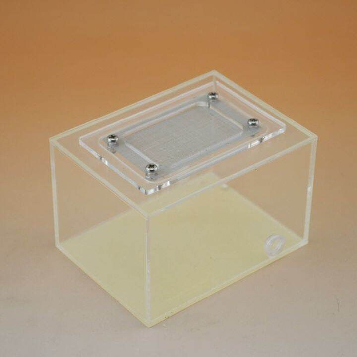 Ant castle Pet supplies small acrylic reptile box feeding box insect ...