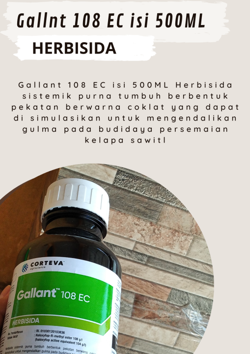Obat Herbisida Gallant 108 EC Isi 500 Ml Untuk Tanaman dan Gulma Golongan Rumput | Lazada Indonesia