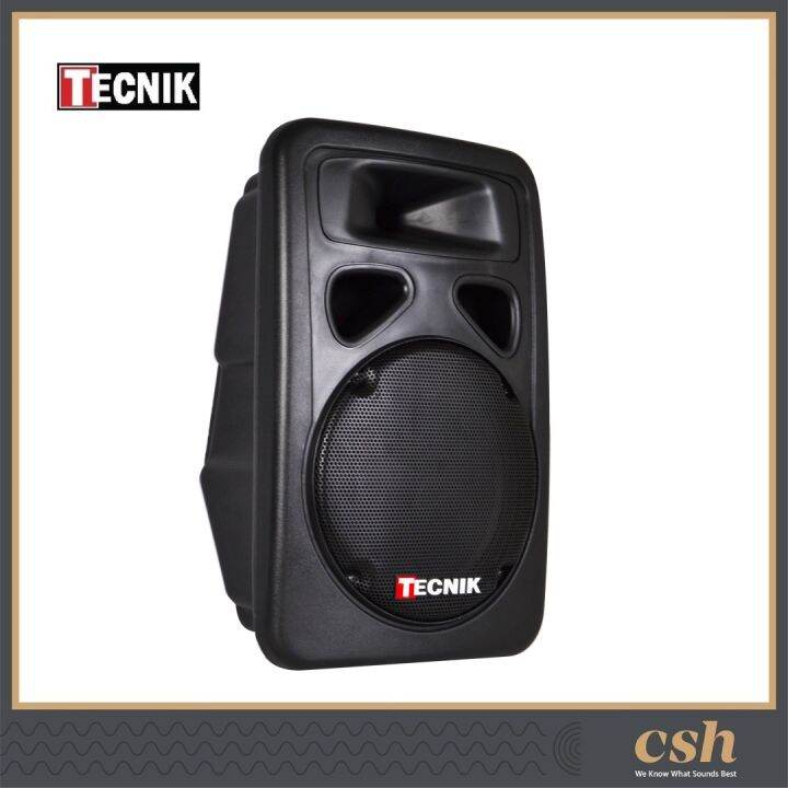 TECNIK TSJA12 12 inch 2 Way Fibre Speaker System (1 pc) | Lazada