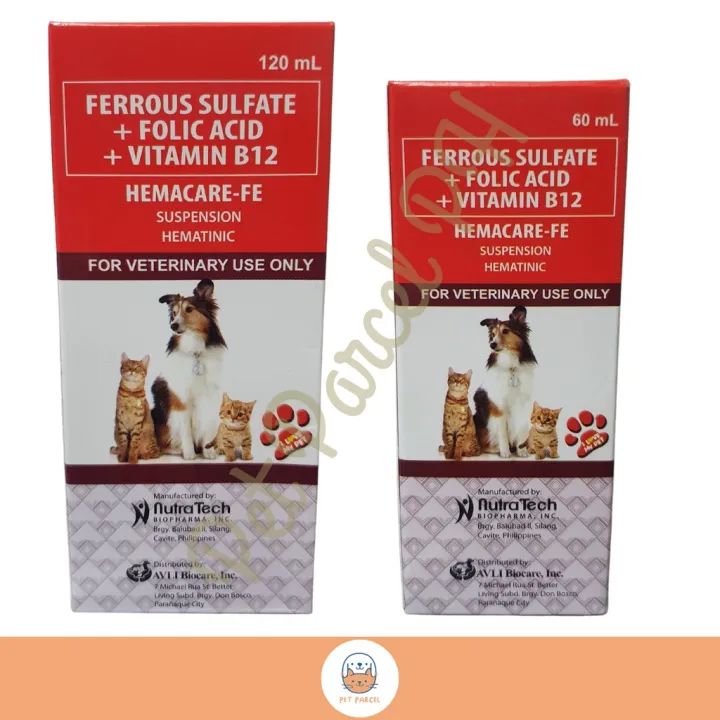 Hemacare-Fe 120ml Iron Supplement for Dogs and Cats | Lazada PH