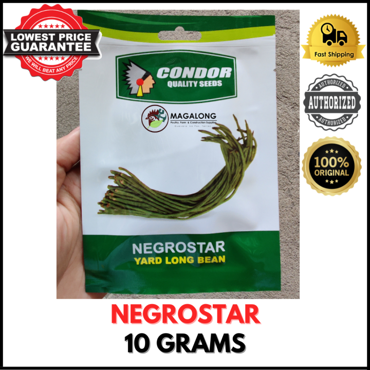 CONDOR SEEDS - POLE SITAO / SITAW SEEDS - NEGROSTAR 10 Grams | Lazada PH