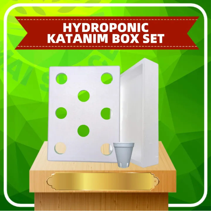 8 HOLES HYDROPONIC GROW BOX FOR HYDROPONIC GARDENING [MAI SPACE ...