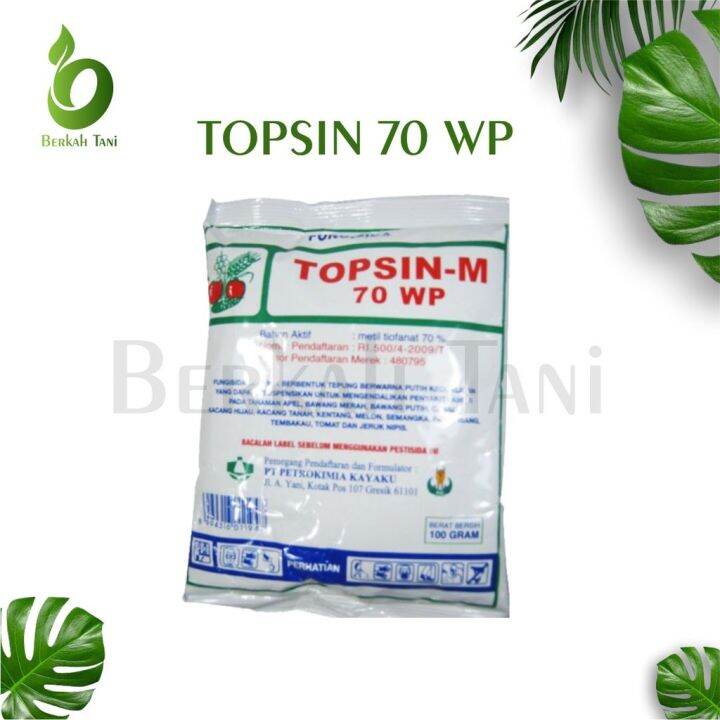Fungisida Topsin M 70 WP - 100 gr obat pembasmi jamur pada tanaman ...