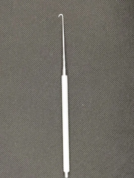 Joseph Skin Hook- 1 Prong 6 inches long | Lazada PH