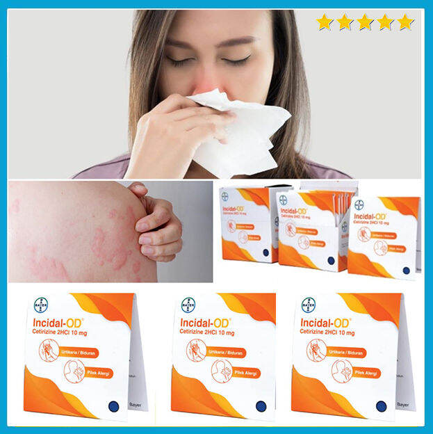 Incidal OD 1 Strip 4 Kaps | Obat Alergi Paten Cepat Manjur Untuk Bersin-Bersin dan Pilek, Hidung ...