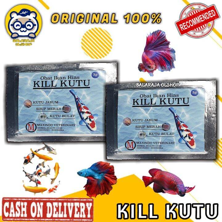 OBAT KUTU IKAN HIAS CUPANG OSCAR ANGEL FISH LOUHAN MAS KOKI KILL KUTU ...
