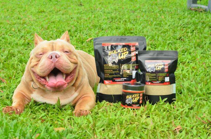 BULKED UP Supreme Dog Mass Gainer Formula For All Dog Breeds | Lazada PH
