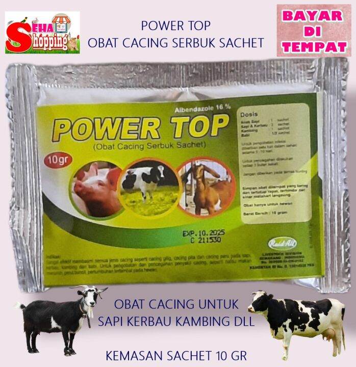 POWER TOP 10 GR - OBAT CACING PITA CACING PARU DLL UNTUK SAPI KERBAU ...