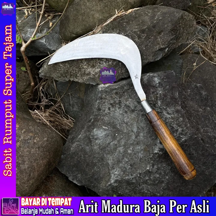 Arit Sabit Madura Baja Per Asli Super Tajam Arit Rumput Padi Terbon ...