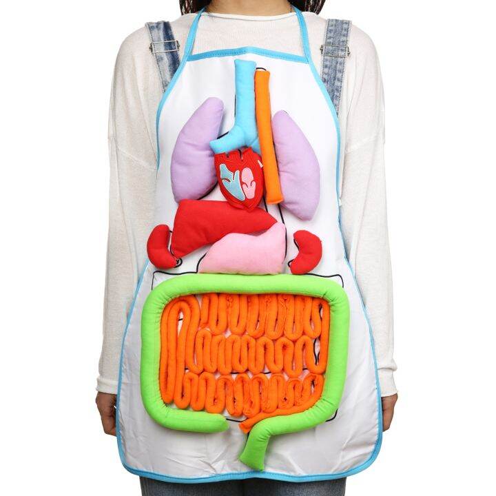【Ready】Anatomy Apron Human Body Organ Educational Tool Children ...