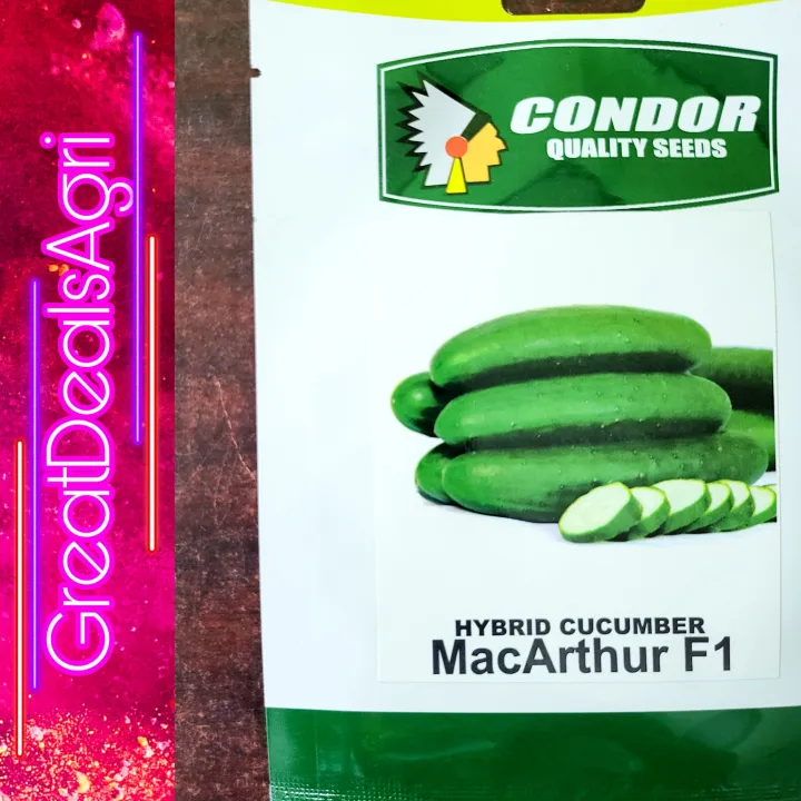 MACARTHUR F1 HYBRID CUCUMBER SEEDS (1 GRAM) CONDOR SEEDS | Lazada PH