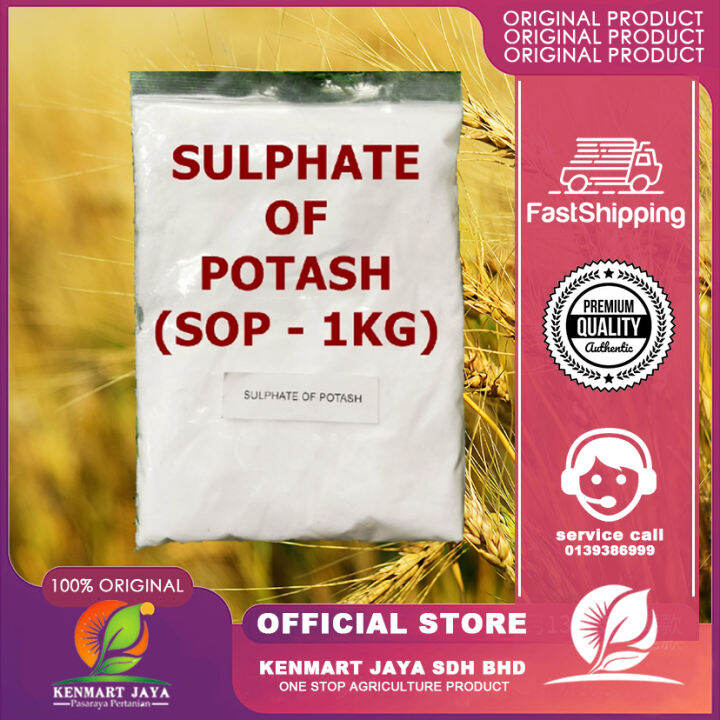 SOP Potassium Sulfate 1kg 硫酸钾 (sulphate of potash / baja hydroponik ...