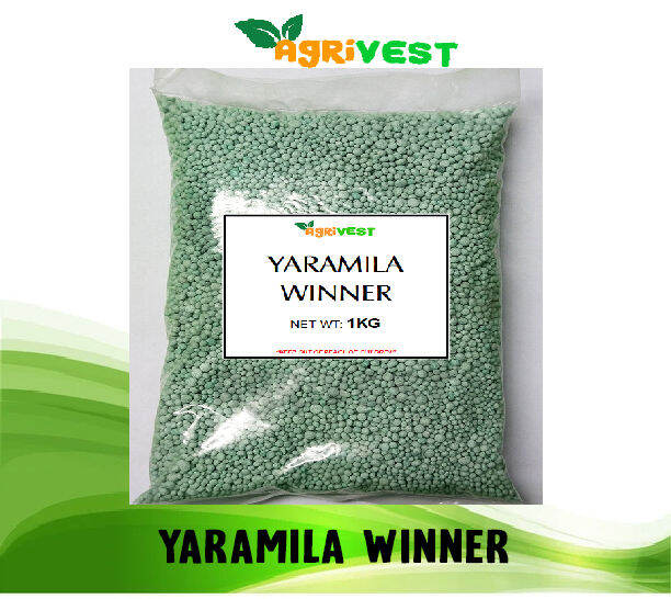 YARAMILA WINNER - 500g & 250g | Lazada PH
