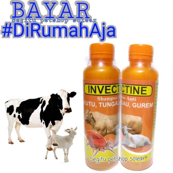 shampo anti kutu ,tungau gurem pada sapi dan kambing invectine 250 ml ...