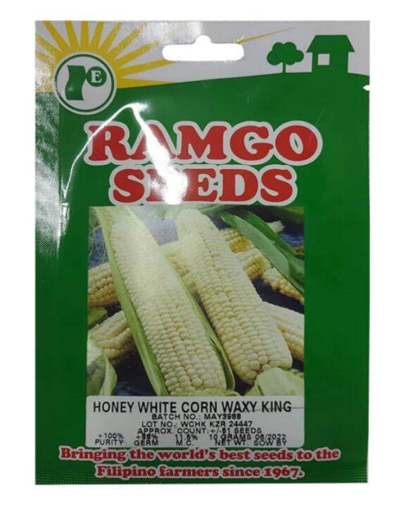 RAMGO SEEDS | HONEY WHITE CORN WAXY KING - 7G | Lazada PH