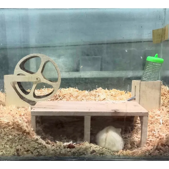 Underground House BESAR Rumah Bawah Tanah Hamster, Landak mini | Lazada ...