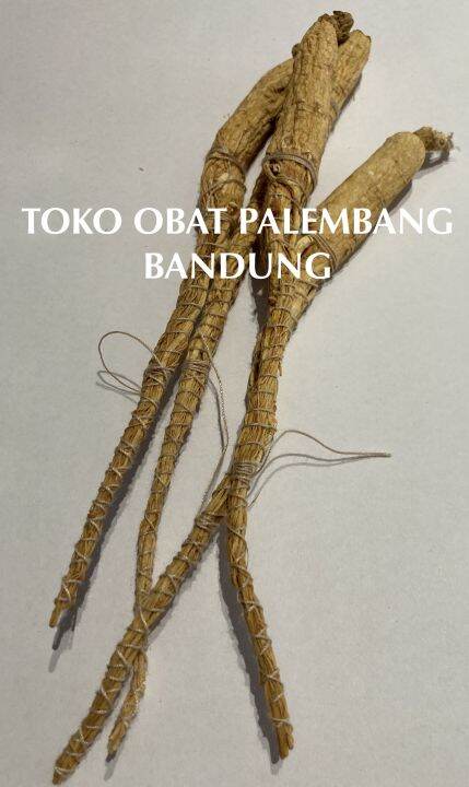 REN SHEN 37GRAM RENSHEN JEN SEN RADIX GINSENG PANAX GINSENG ROOT ...