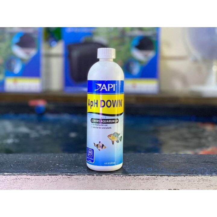 API PH Down PH Adjuster 16oz | Lazada PH