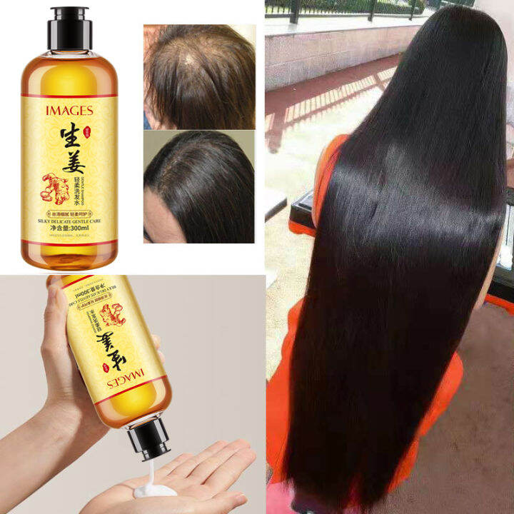 Natural Ginger Shampoo for Hair Loss Herbal Ginger Extract Shampoo ...