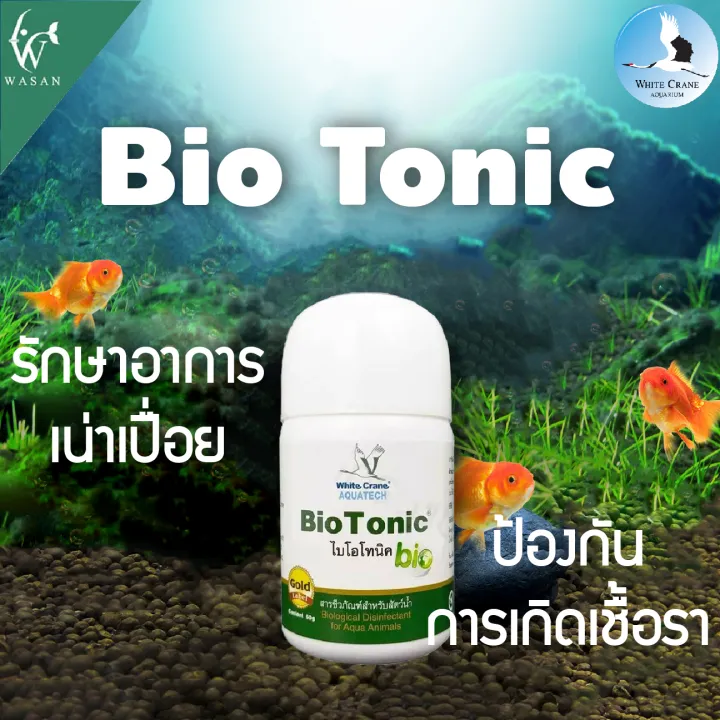 BioTonicไบโอโทนิค 50กรัม ป้องการเกิดเชื้อราสำหรับป้องการเกิดเชื้อราและ ...