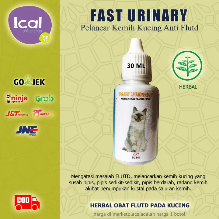 Fast Urinary Herbal Kucing FLUTD Susah Pipis Atau Berdarah | Lazada ...