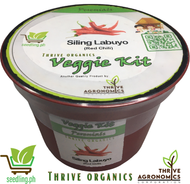 Siling Labuyo | Chili Pepper | Hot Pepper |Veggie Kit | Grow Kit ...