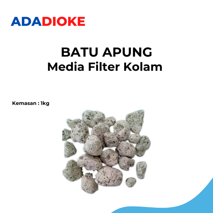 Batu Apung Pumice Stone Media Filter Kolam Aquarium 1kg | Lazada Indonesia