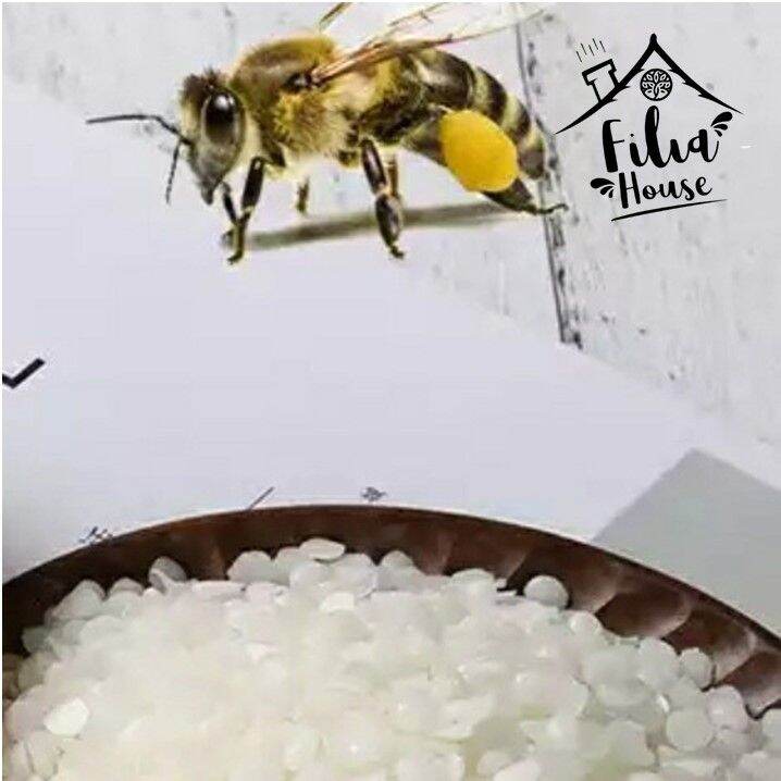 Beeswax / Cera Alba 1Kg / 100% Lilin Lebah Putih | Lazada Indonesia
