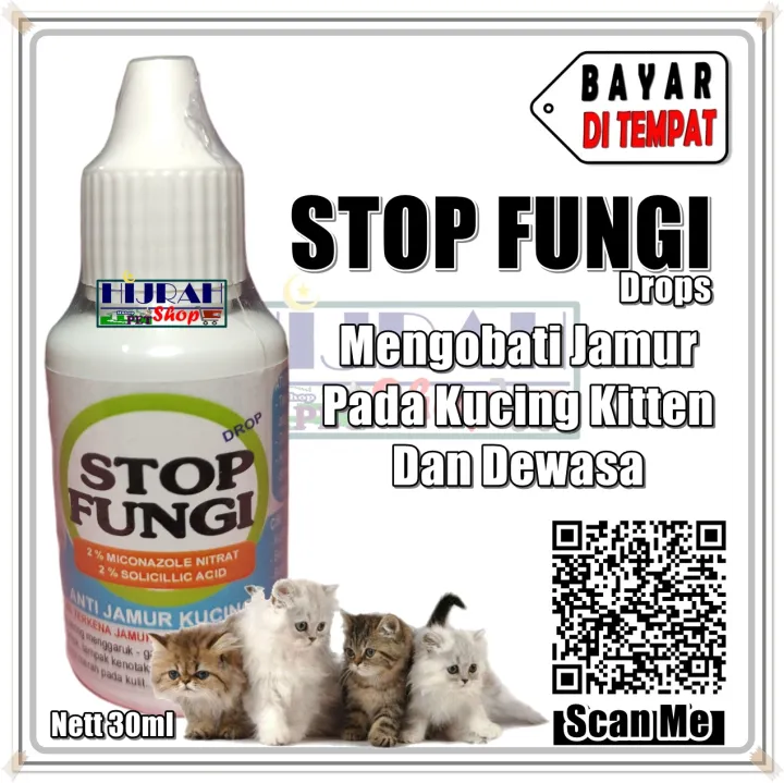 Obat Kucing Obat Jamur Kucing Mengobati Jamur Luka Koreng Scabies Gatal ...