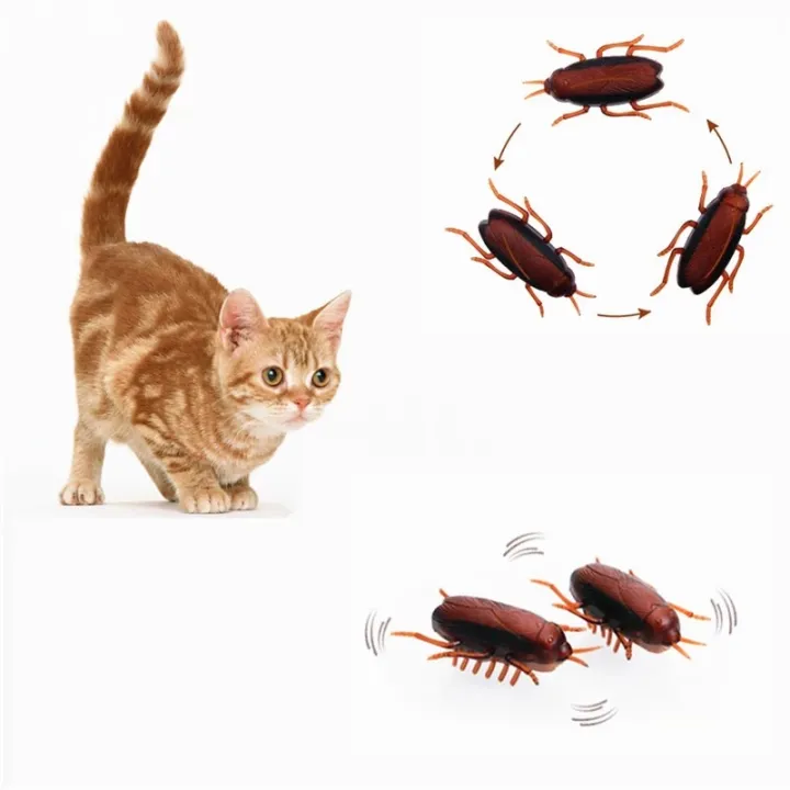 1pcs Electronic Cockroach Dog Cat Playing Toy Battery Powered Running ...