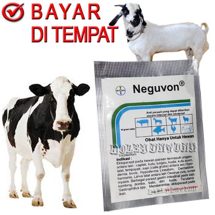 NEGUVON BAYER ORIGINAL MEMBASMI KUTU TUNGAU PADA HEWAN TERNAK KAMBING ...