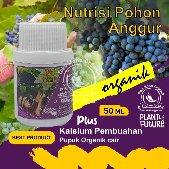 Pupuk Booster Anggur Merah Hijau Manis Organik Agar Cepat Berbuah Lebat