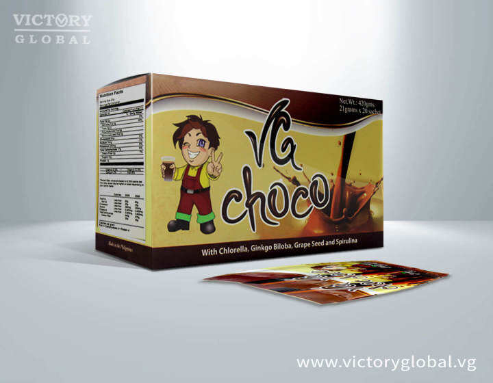 VG Choco Healthy Beverages (20s) | Lazada PH