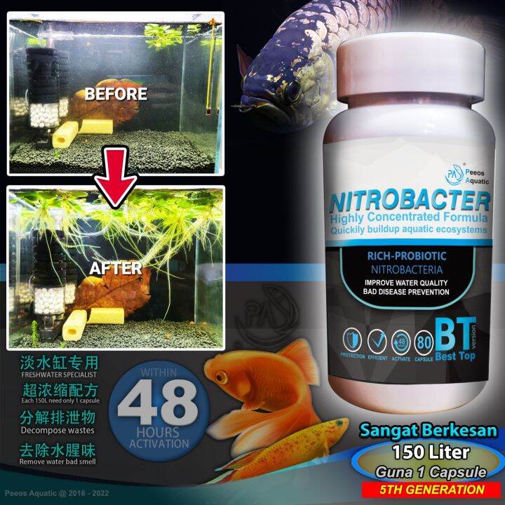 PA Nitrobacter Highly concentrated formula 80 capsule for fish aquarium ...