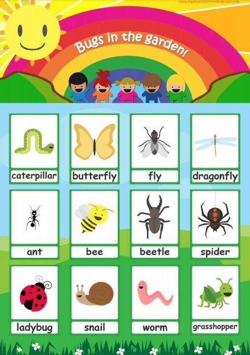 NEW !! Laminated Chart for Kids | BUGS | Lazada PH
