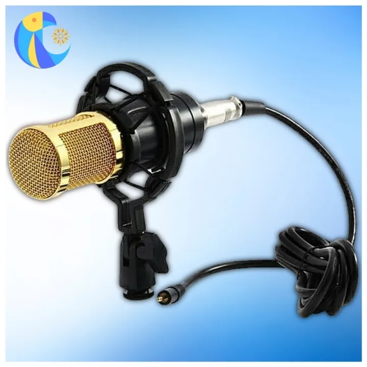 GSE Professional Bm 800 Kit Condenser Microphone 3.5mm Wired Bm-800 Karaoke BM800 Recording ...