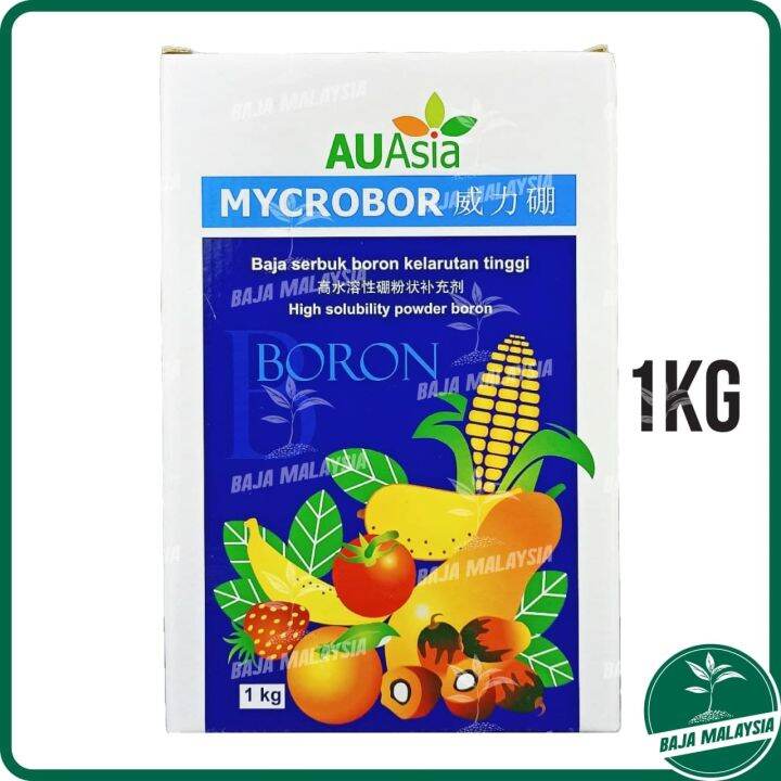 AUASIA Foliar Fertilizer MYCROBOR Baja Foliar (DISODIUM OCTABORATE) 1KG ...