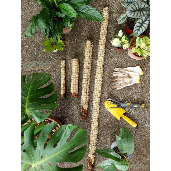 Moss Pole Plant Pole Pure Dry Sphagnum Moss with Coco Cubes made with ...