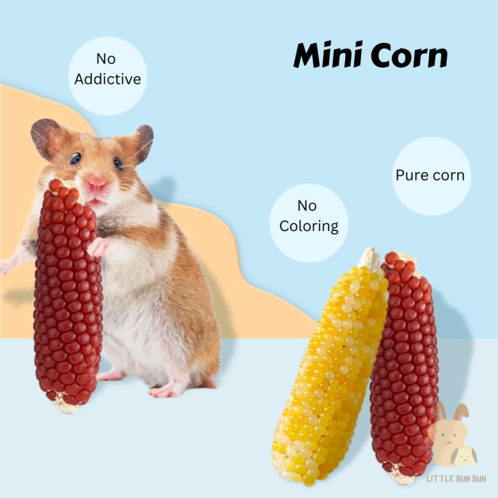 Hamster Mini Corn snack bite treat makanan | Lazada