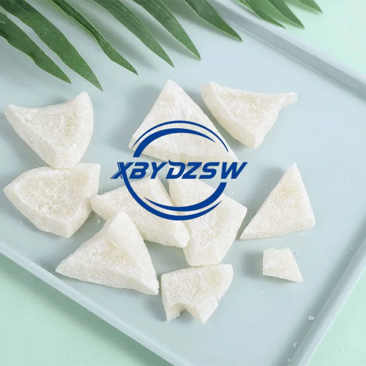 【XBYDZSW】 Hainan Specialty Coconut Dried Coconut Meat Coconut Horn ...