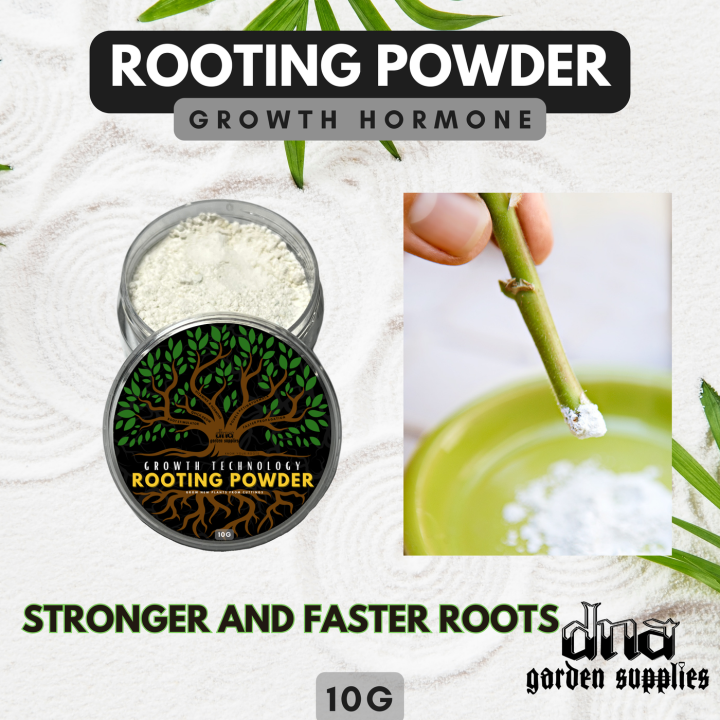 (10G) Rooting Hormone Powder Grow plants from cuttings 100% Effective ...